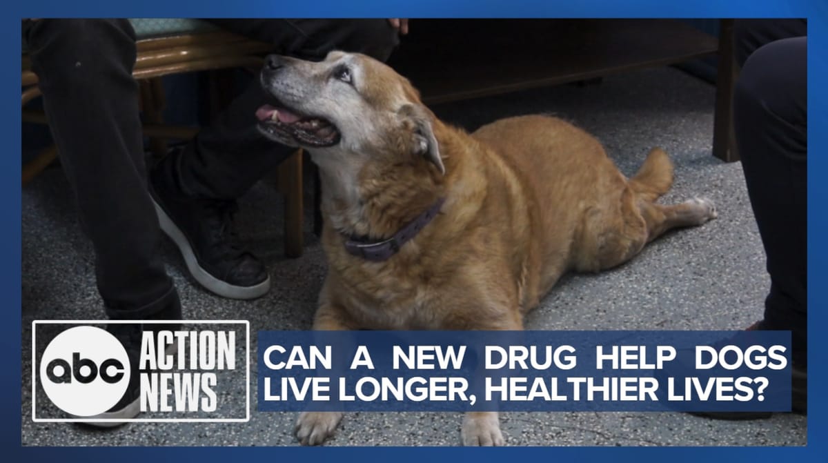 Loyal | Clinical trials